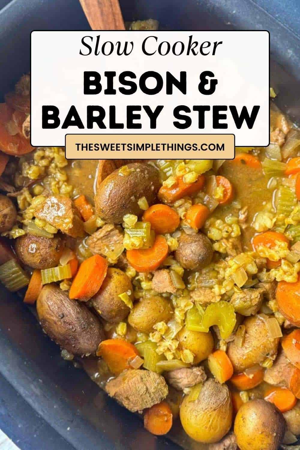 Barley & Bison Stew with Warm Spices - Slow Cooker - Healthy Recipes ...