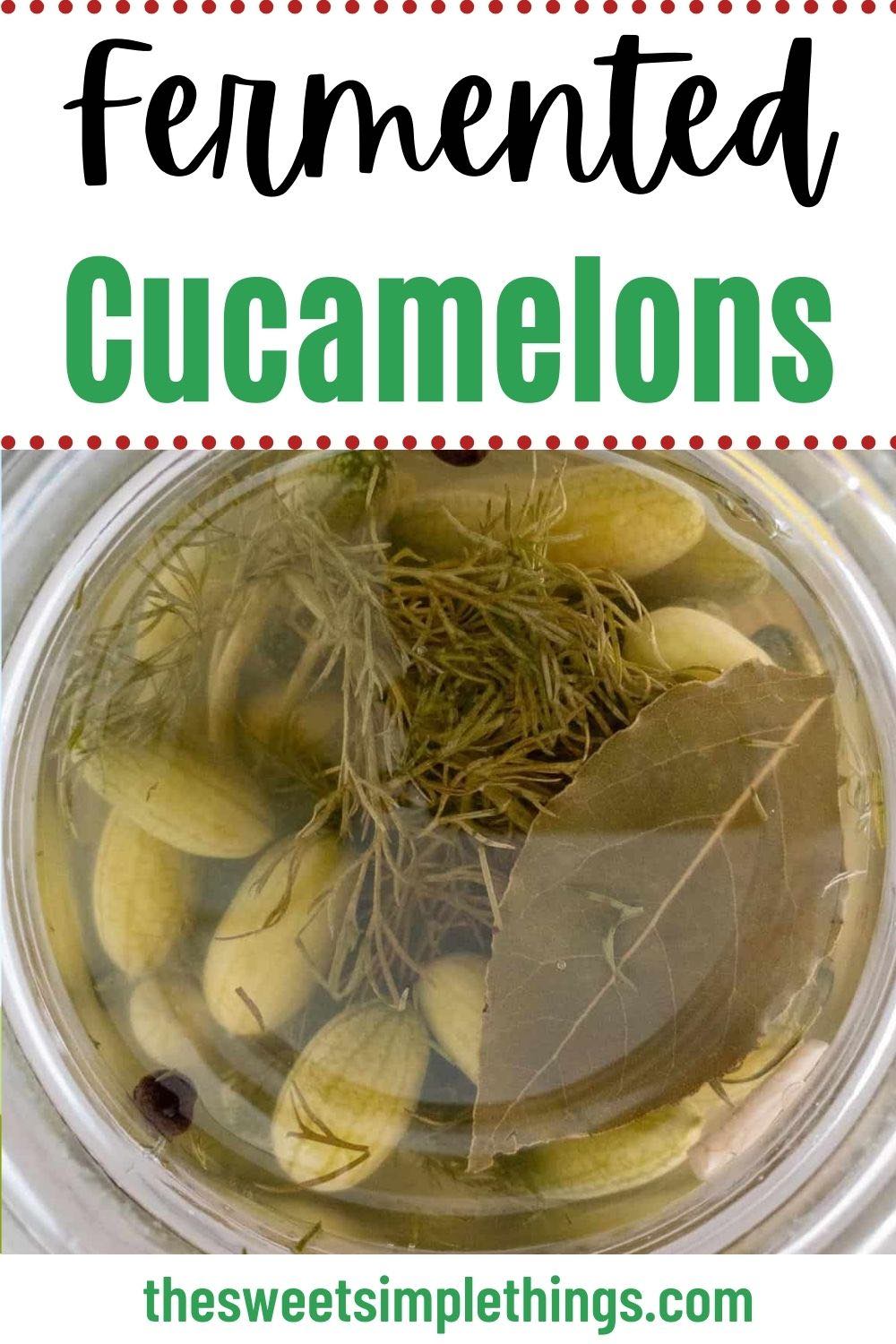 Easy Fermented Cucamelon Pickles- Healthy and Fun!