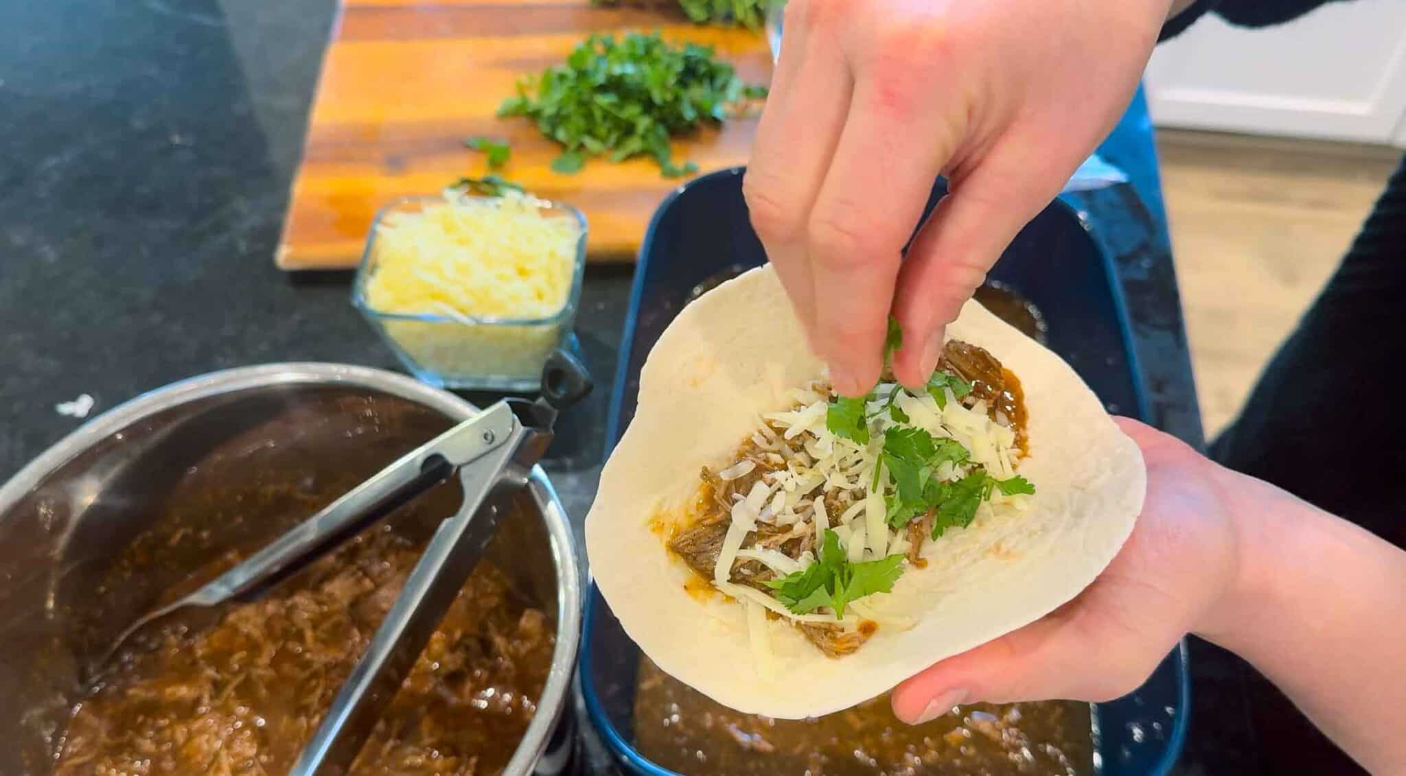 Easy Beef Birria Enchiladas with Simple Homemade Sauce - The Sweet ...