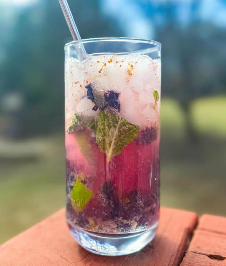 Blueberry Mojito Mocktail with Fresh Lime - The Sweet, Simple Things