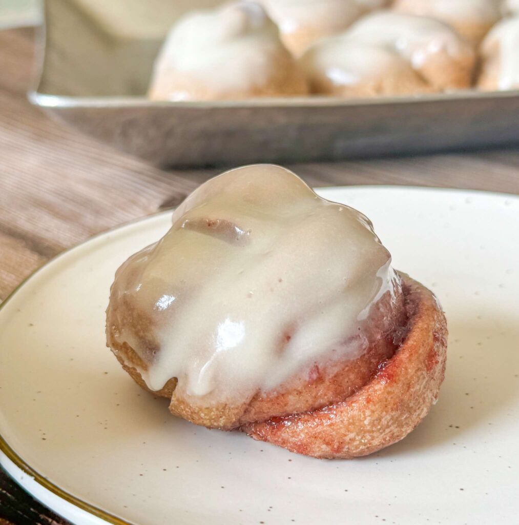 Whole Wheat Sourdough Cherry Knots - Discard or Active Starter