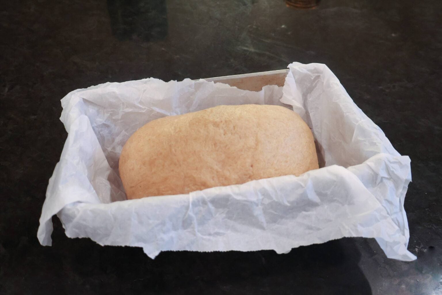 100% Whole Wheat Sourdough Sandwich Bread